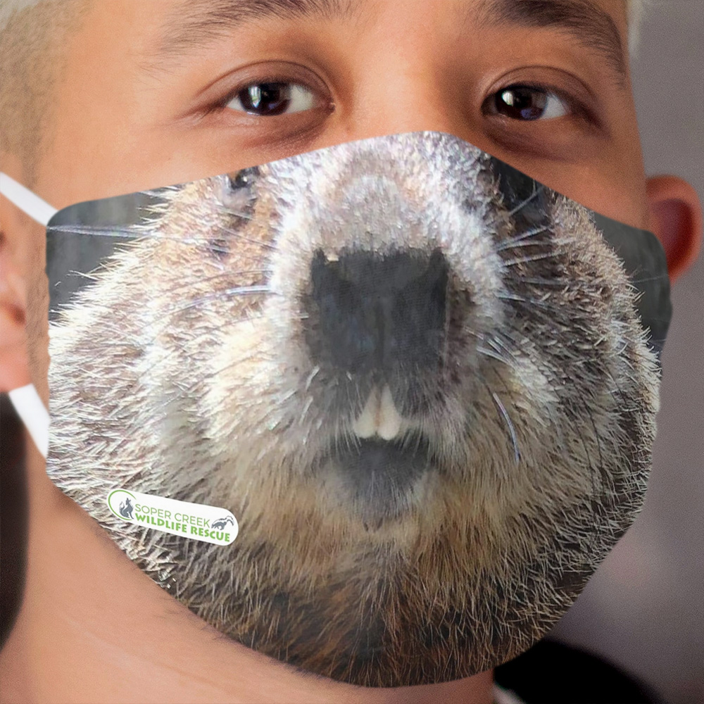 Alan the Groundhog Cloth Face Mask - Chief T-shirt