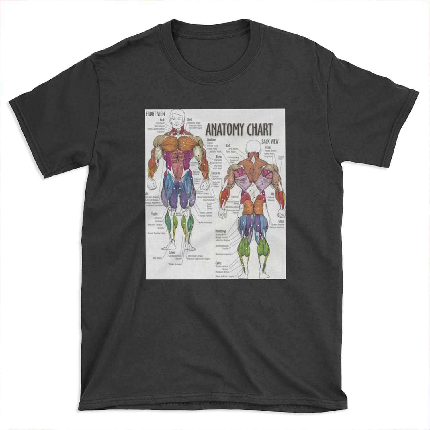 Anatomy Chart - Muscle Diagram T-shirt Tee - Chief T-shirt
